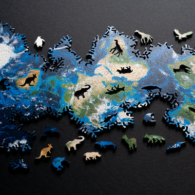 Unique Jigsaw Puzzle Allows You to Make Your Own Map of Earth– My ...