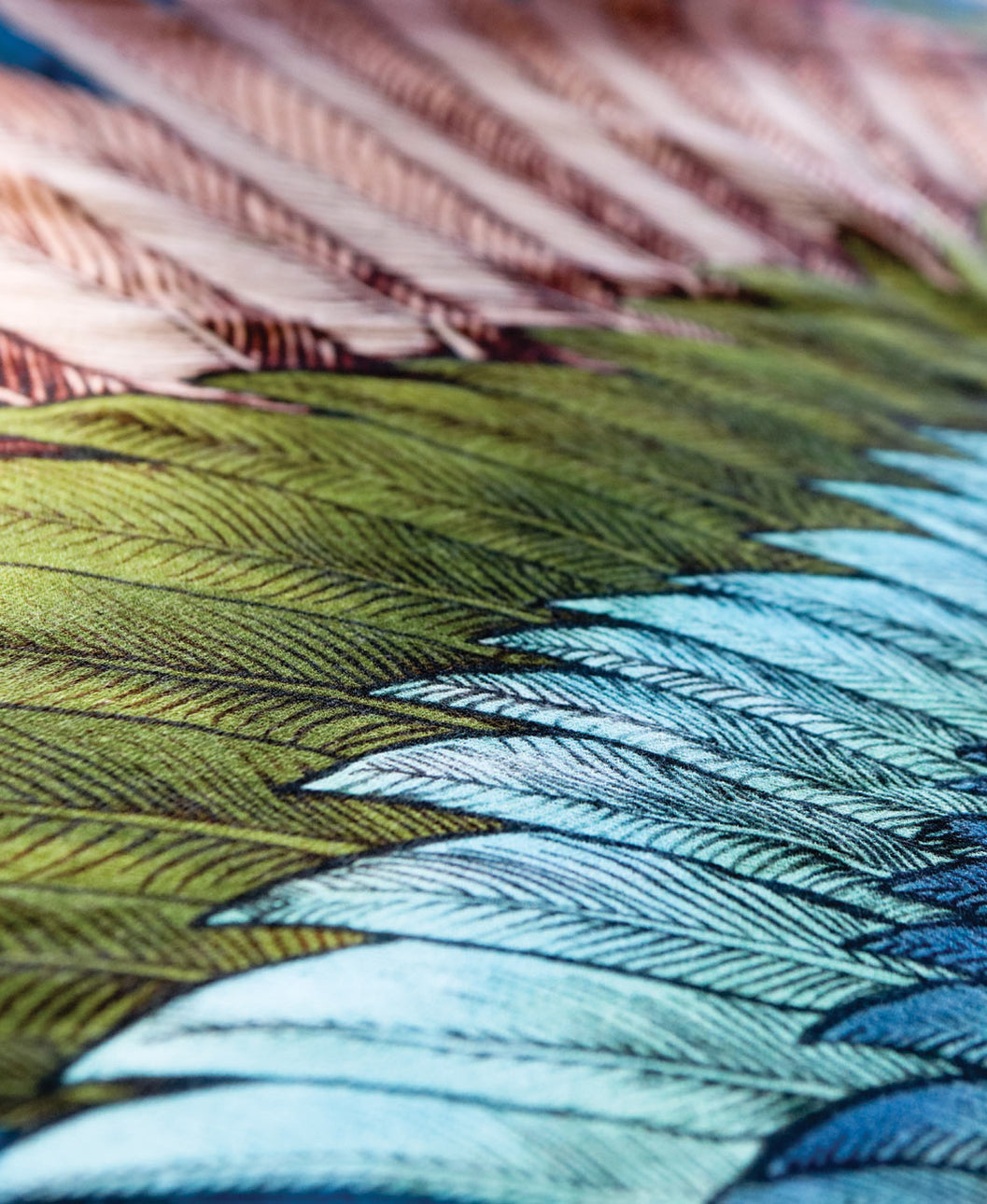 Feel Light as a Feather in Ethereal This Jasper Wings Bird Scarf– My ...