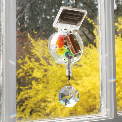 Hang This Rainbow Maker in Your Home for Instant Magic– My Modern Met Store